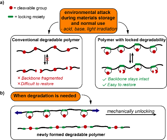 “Smart” degradable polymers: polymers with locked degradability that ...