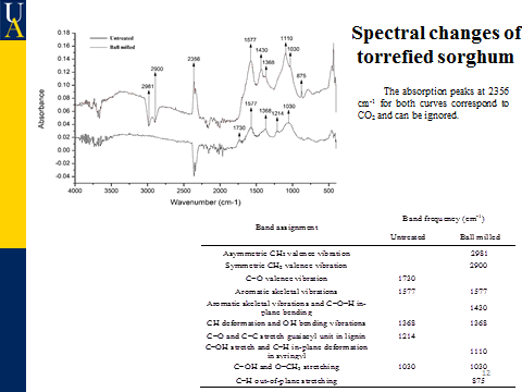 Biomass-based Fillers for Polymers – The University of Akron | UROP